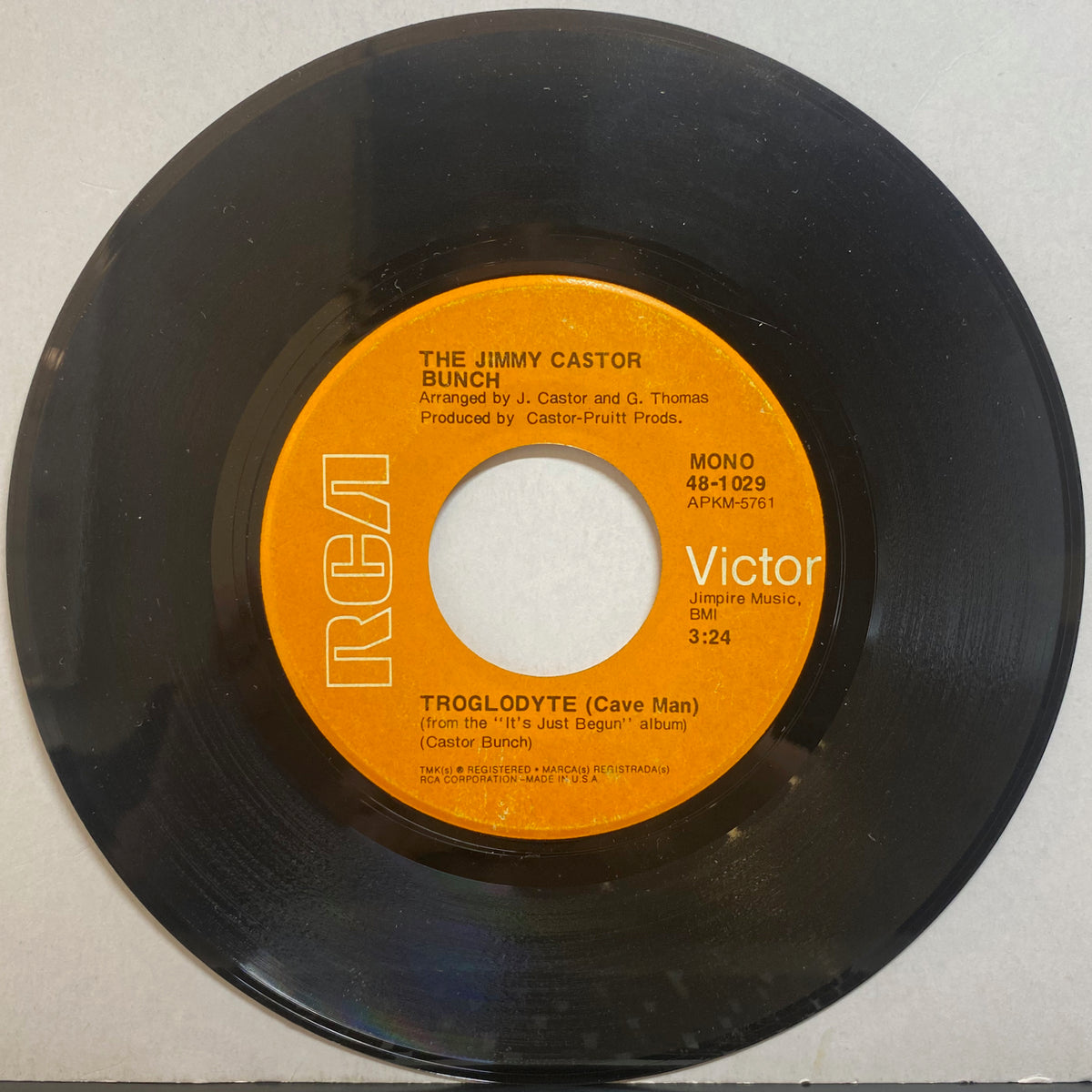 Troglodyte (Cave Man) / I Promise To Remember - Jimmy Castor Bunch, The ...